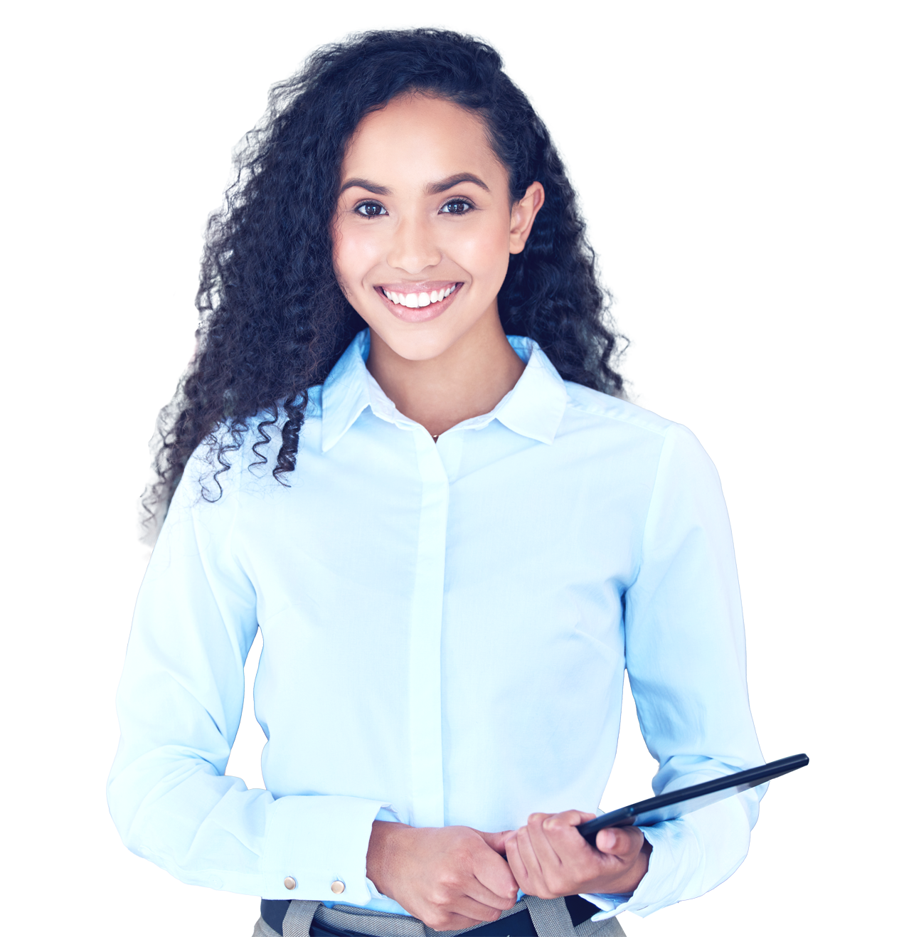 Ingenico Partner Central Portal